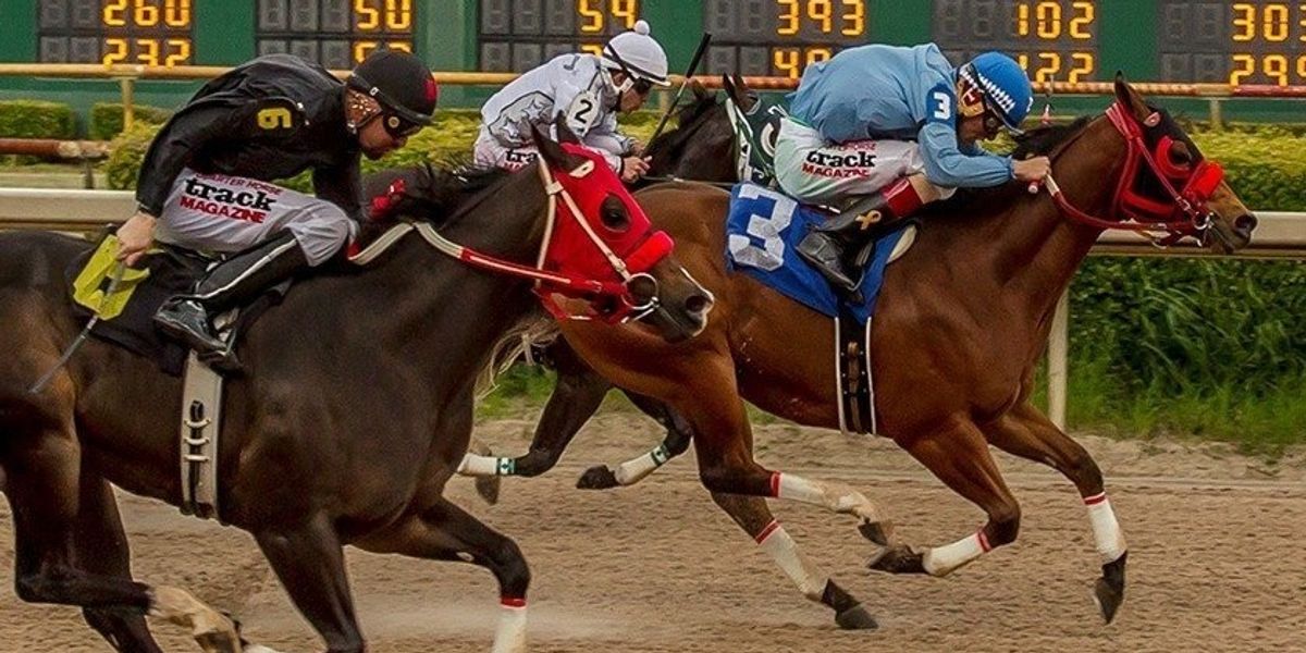 Sam Houston Race Park selections for Friday, May 10 - SportsMap