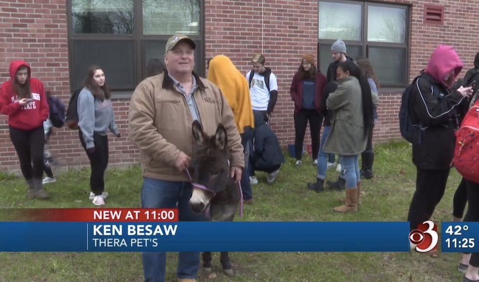 'Therapy donkeys' soothe stressed-out college students before finals ...
