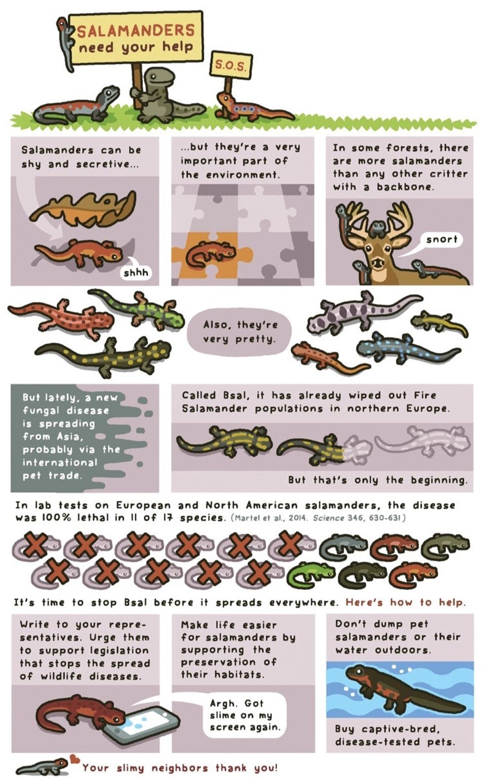 This delightful comic shows why salamanders are awesome and need our ...