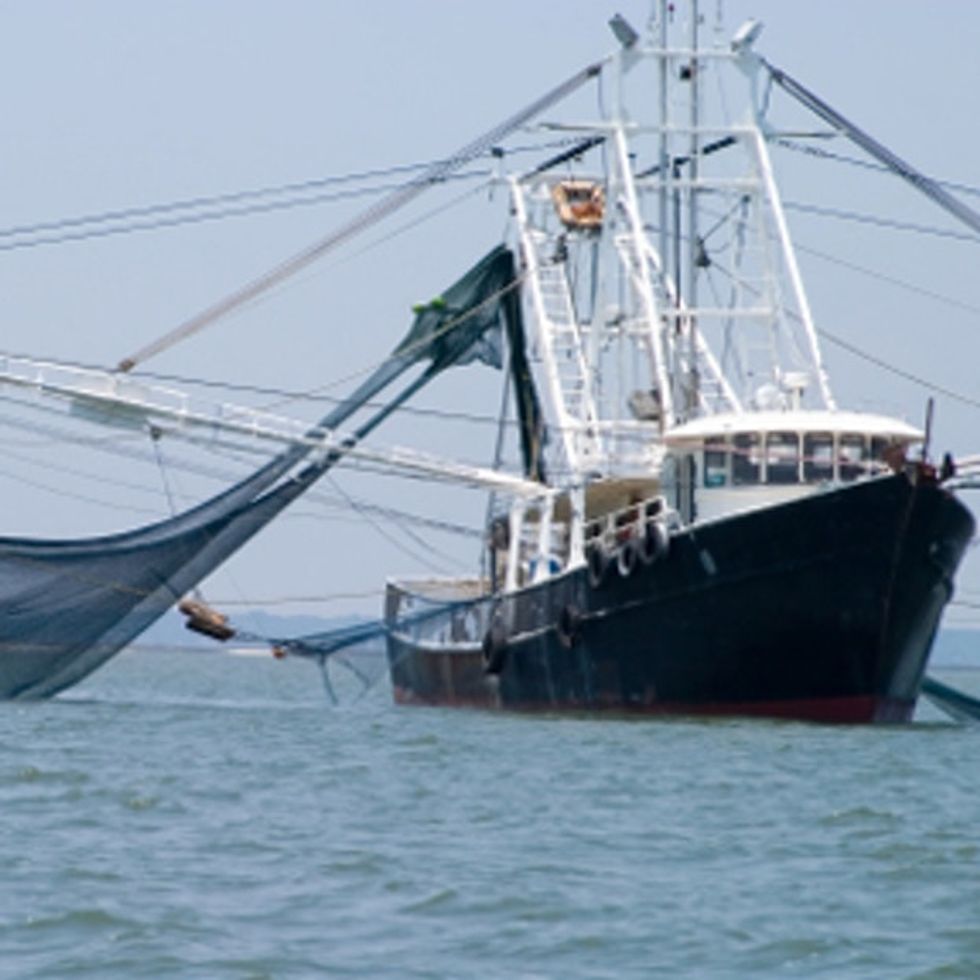 Imagine A World With Empty Oceans. Now Imagine It In Our Lifetime ...