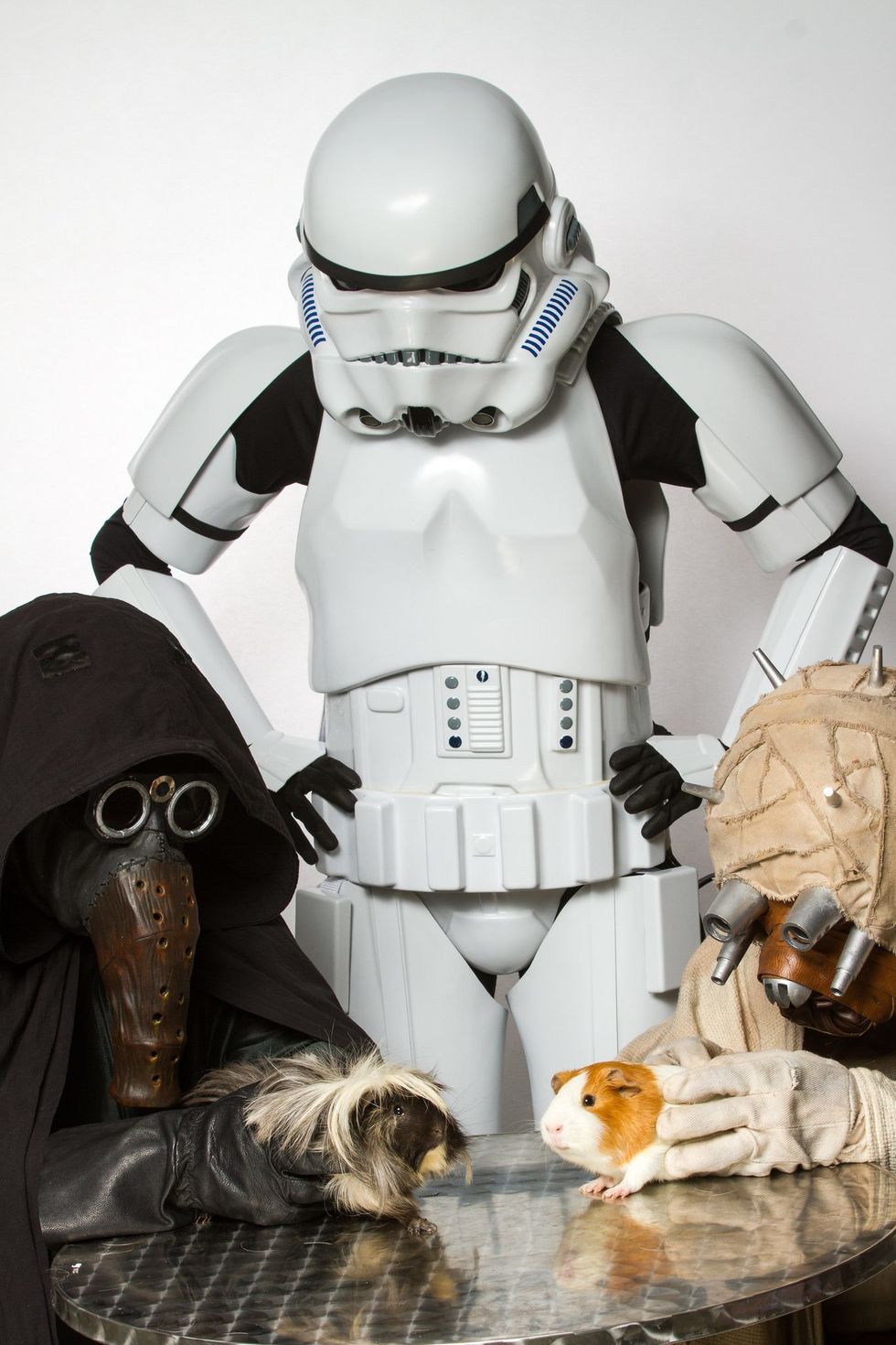 Star Wars characters pose with shelter pets for a unique spin on a ...