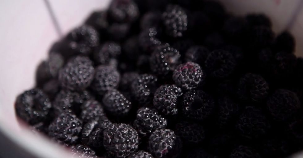 A Short, Beautiful Look At How Your Favorite Berries Make It To Your ...