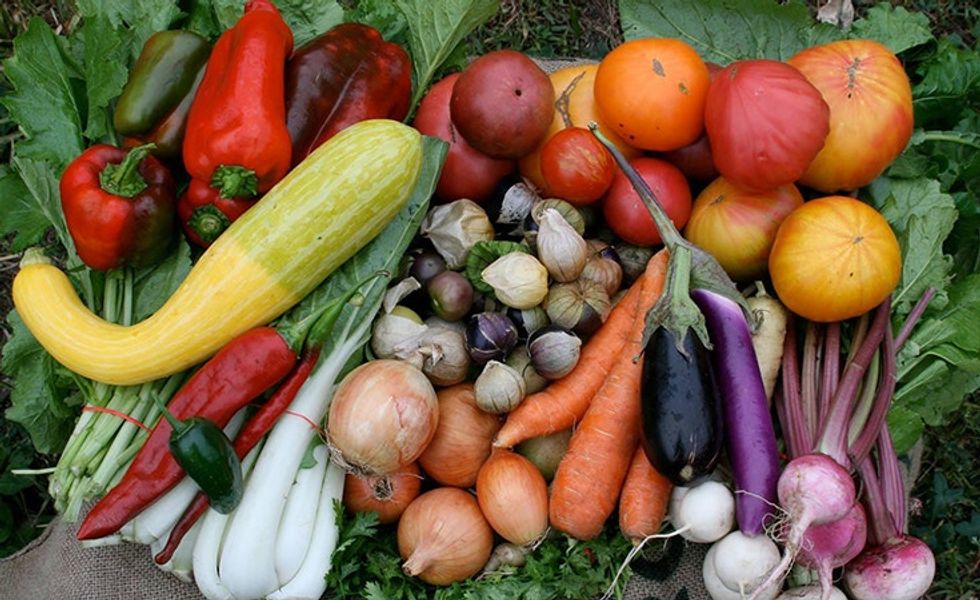 This farm team has been converting vacant lots to tiny farm plots all ...