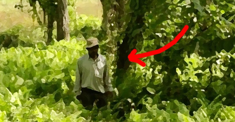 It Seems Like It Can't Work, But Then The Camera Pulls Back, And Damn ...