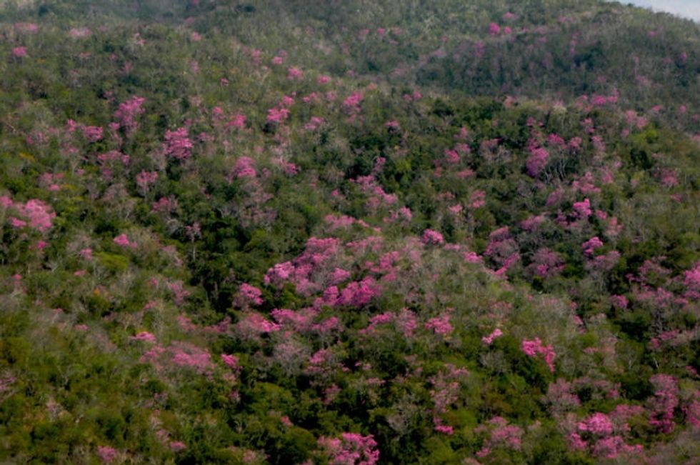 She helped unlock mysteries of one of earth's most remote, beautiful ...