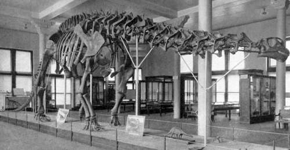 New evidence suggests the Brontosaurus could be real after all. - Upworthy