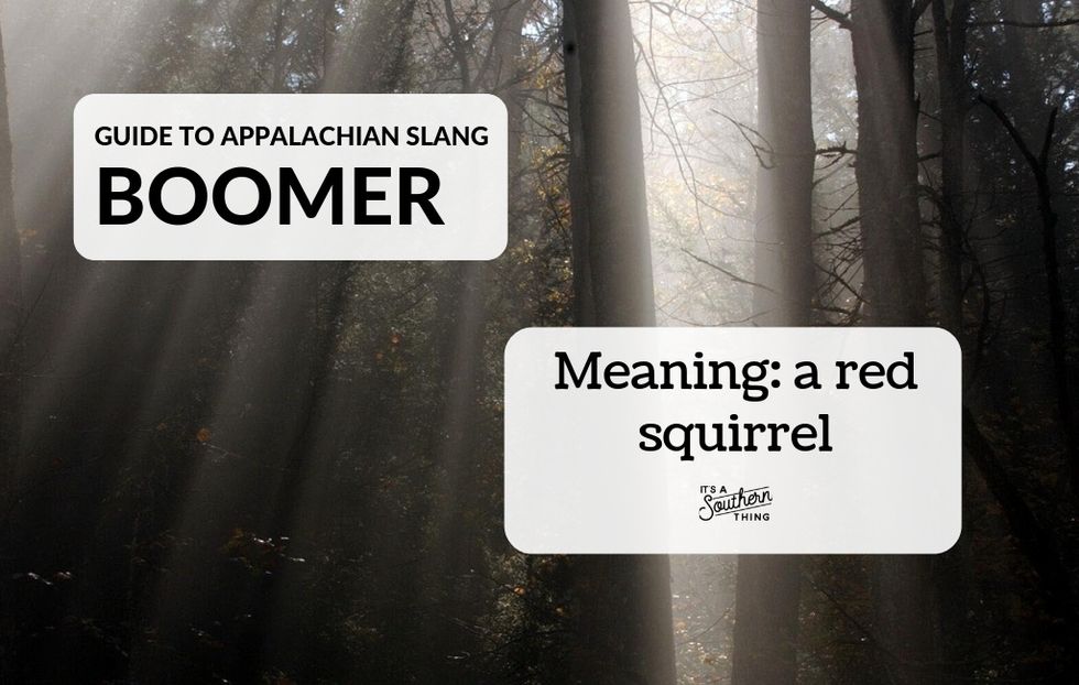 A guide to Appalachian Mountain slang - It's a Southern Thing