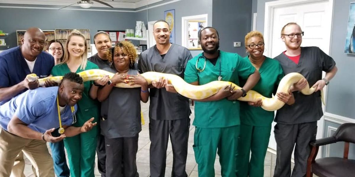 Georgia animal hospital to be spotlighted in new Nat Geo Wild series ...