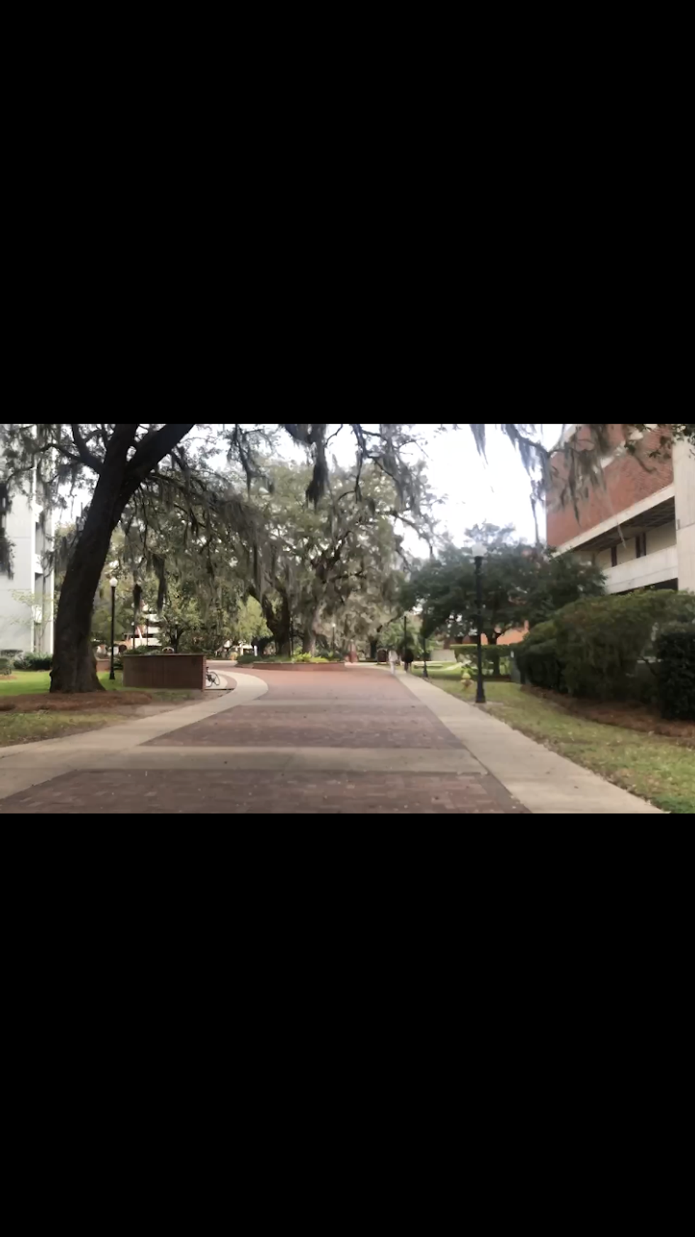 10 Things I Miss About Tallahassee 10-things-i-miss-about-tallahassee
