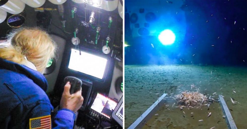 A submarine just took humans deeper into the ocean than ever before ...
