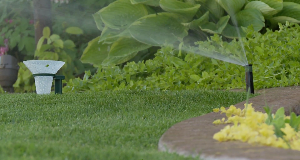 Catch cups, The key to a Green and Healthy landscapes - Gearbrain