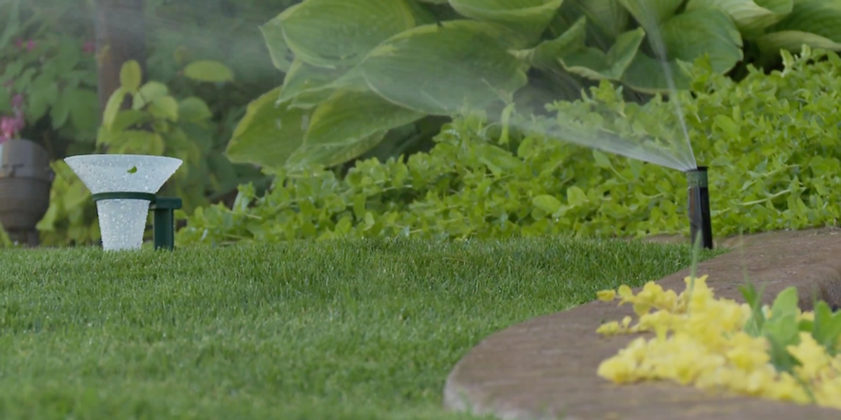 Sprinkler Catch cup Test Makes Your Smart Sprinkler Smarter - Gearbrain