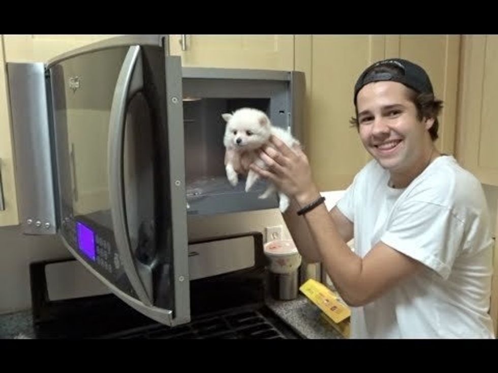 8 Things Every Bad Chef Can Attest To