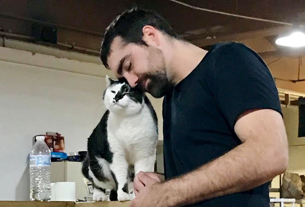 Man Who Wasn’t a Cat Guy Until He Started Volunteering, Finds a Kitty ...