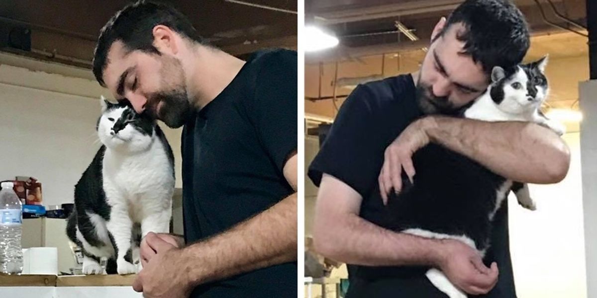 Man Who Wasn’t a Cat Guy Until He Started Volunteering, Finds a Kitty ...