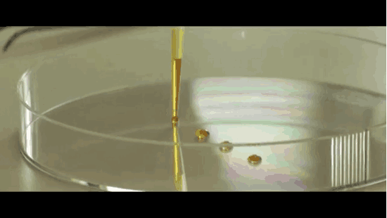 Behold, the bindi. How one small dot can stop a deadly nutrient ...