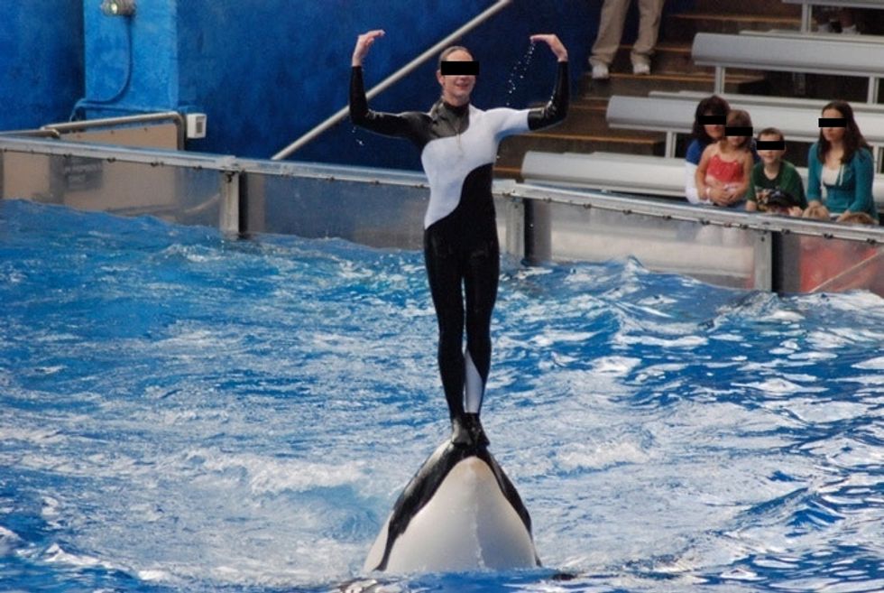 A movie went behind the scenes, and now SeaWorld is just trying to stay ...