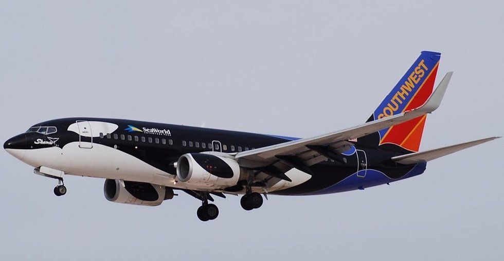 A movie went behind the scenes, and now SeaWorld is just trying to stay ...