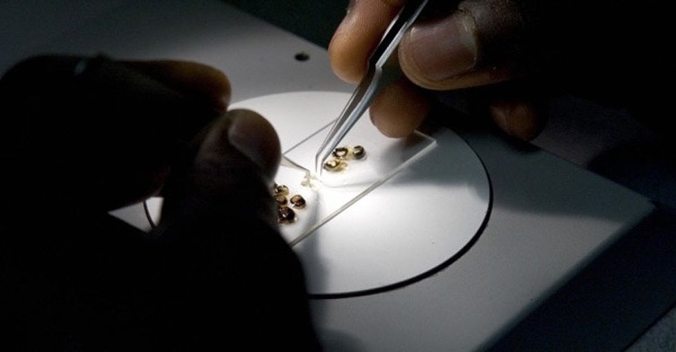 Scientists just made a major bee-vaccination breakthrough. Here's why ...