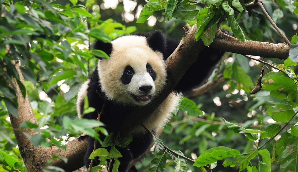 Eating, sleeping, and saving the earth — all in a day's work for these ...