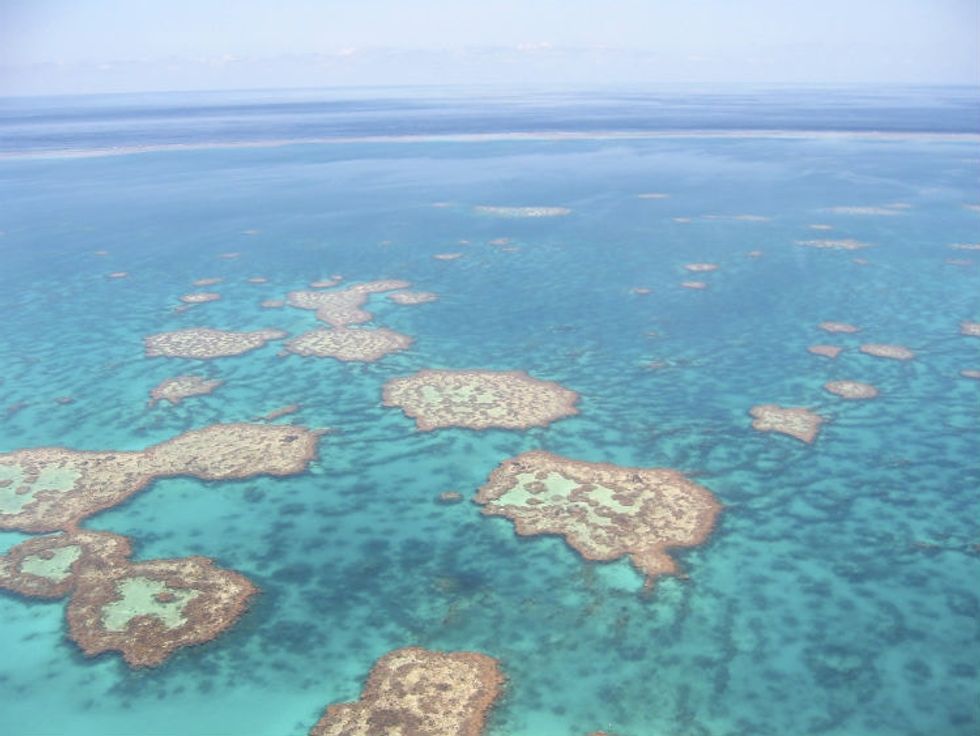17 stunning photos of the Great Barrier Reef that just might inspire ...