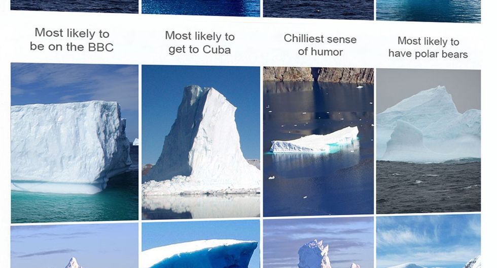 There are so many icebergs, we thought we’d see who's who from this ...