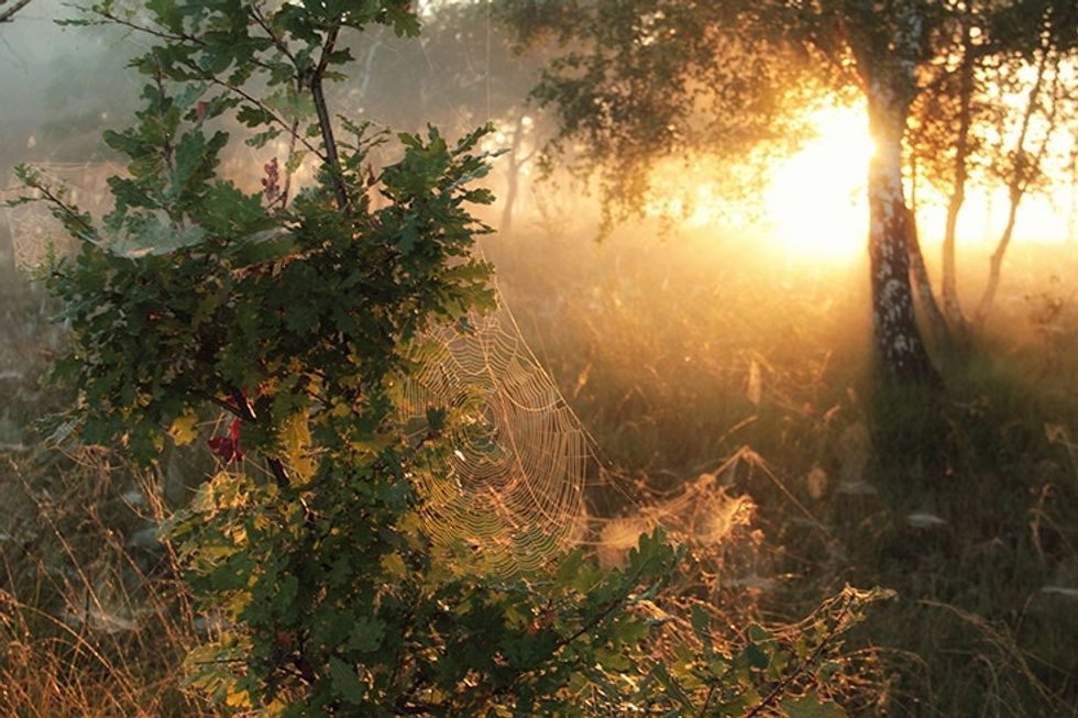 These 18 stunning photos prove natural light is the best thing on Earth ...
