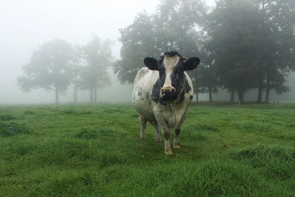 These 18 stunning photos prove natural light is the best thing on Earth ...