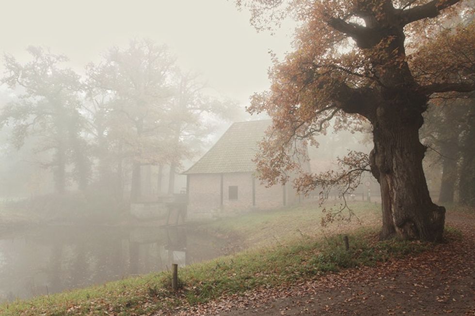 These 18 stunning photos prove natural light is the best thing on Earth ...