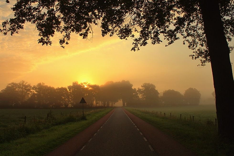 These 18 stunning photos prove natural light is the best thing on Earth ...