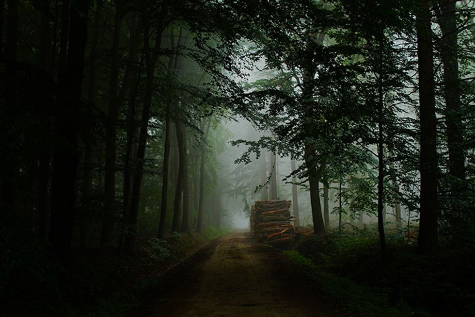 These 18 stunning photos prove natural light is the best thing on Earth ...