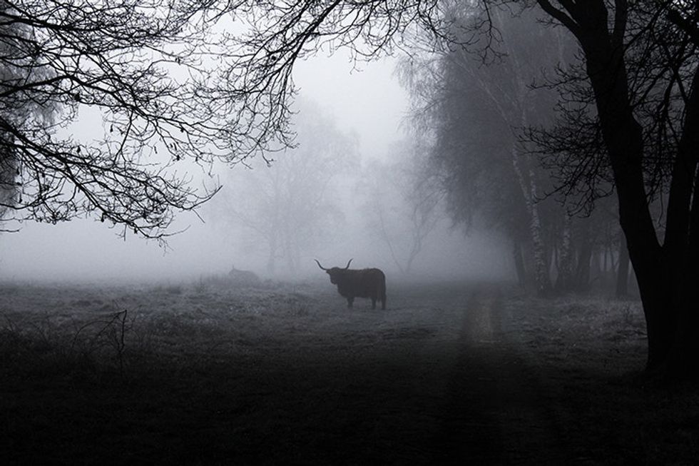 These 18 stunning photos prove natural light is the best thing on Earth ...