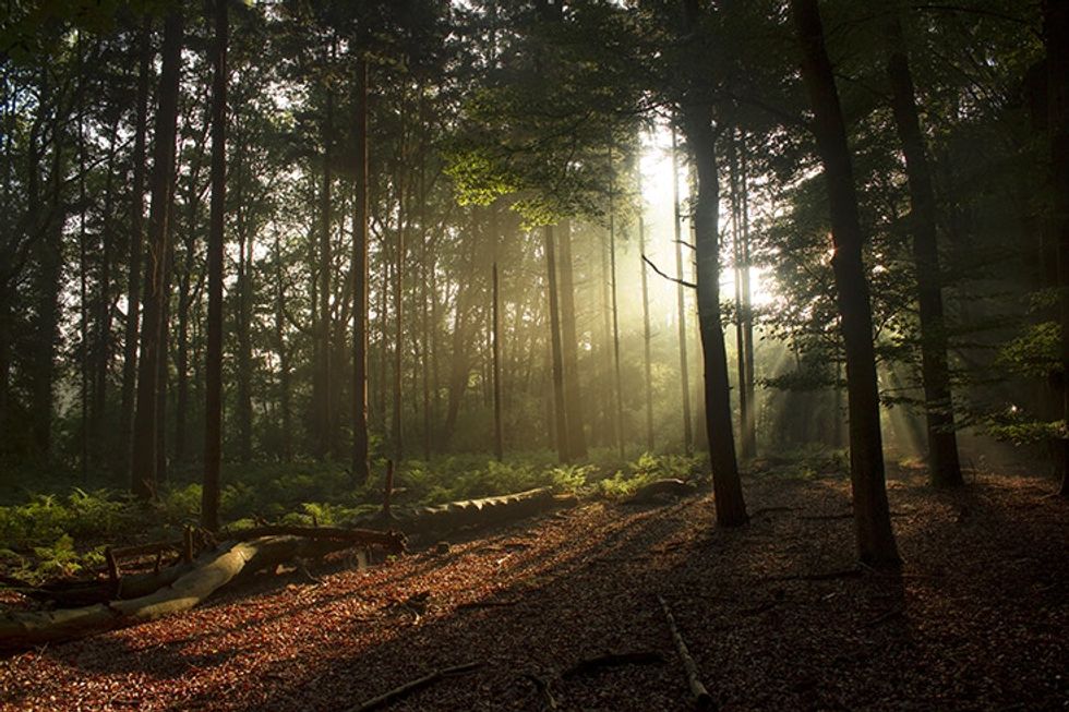 These 18 stunning photos prove natural light is the best thing on Earth ...
