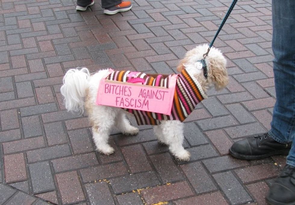 These 23 photos prove that dogs are just as fed up with the world as ...