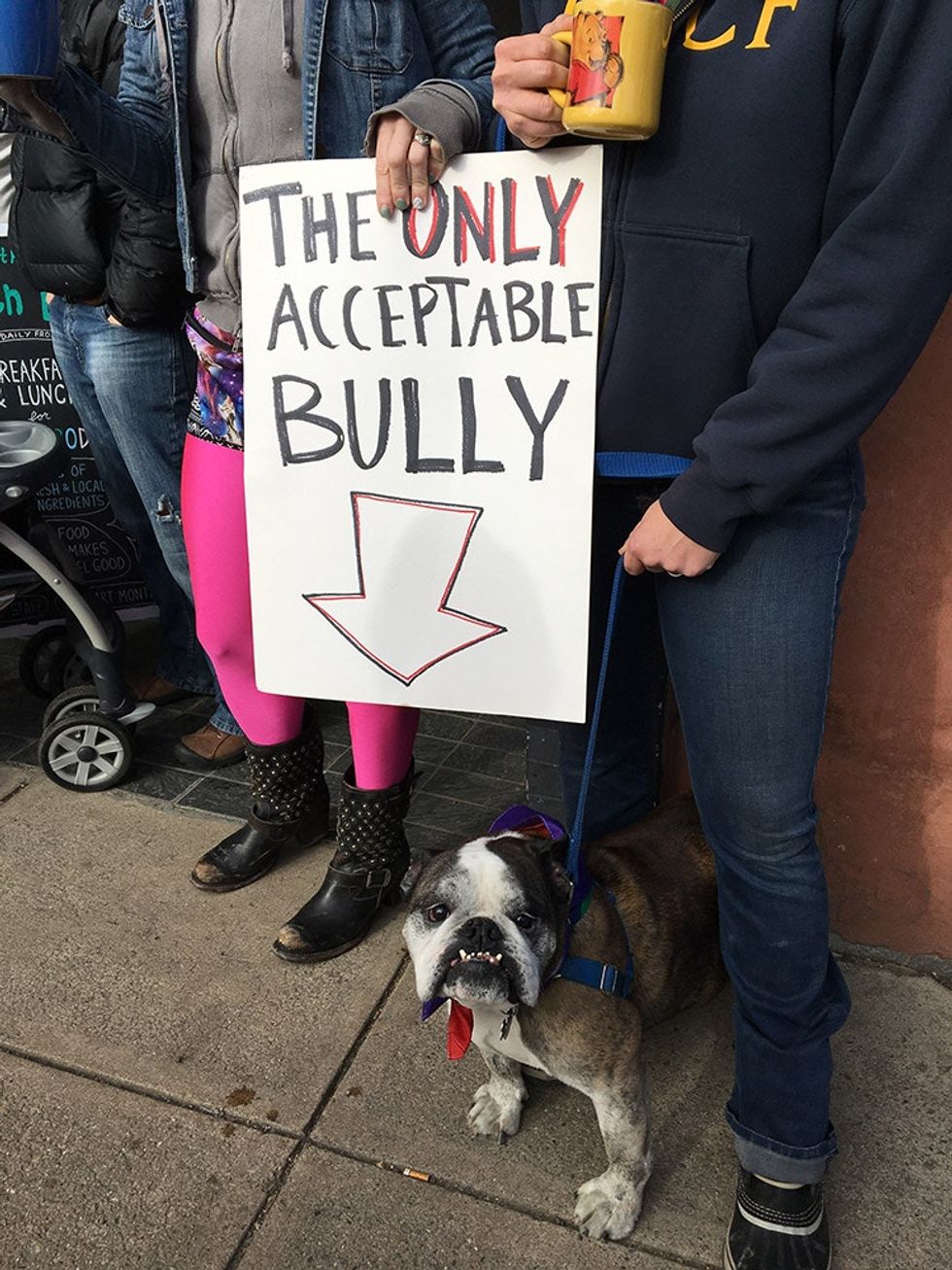 These 23 photos prove that dogs are just as fed up with the world as ...