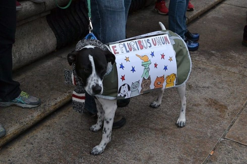 These 23 photos prove that dogs are just as fed up with the world as ...