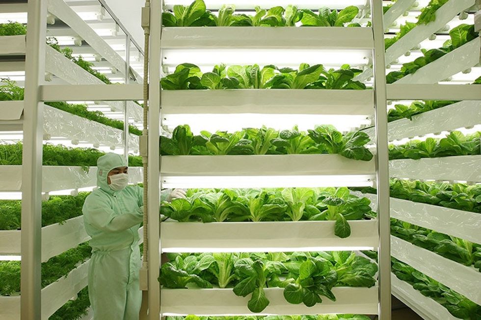 How to feed an extra 2 billion people by 2050? A shift in how we grow ...