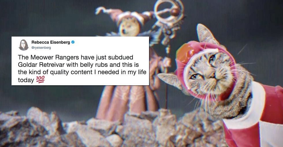 31 Days of Happiness Countdown: 'Meower Rangers.' (Day 5) - Upworthy