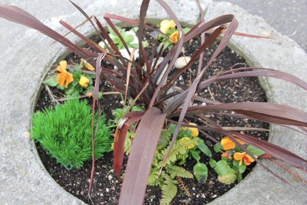 The story behind the World's Smallest Park is even more delightful than ...