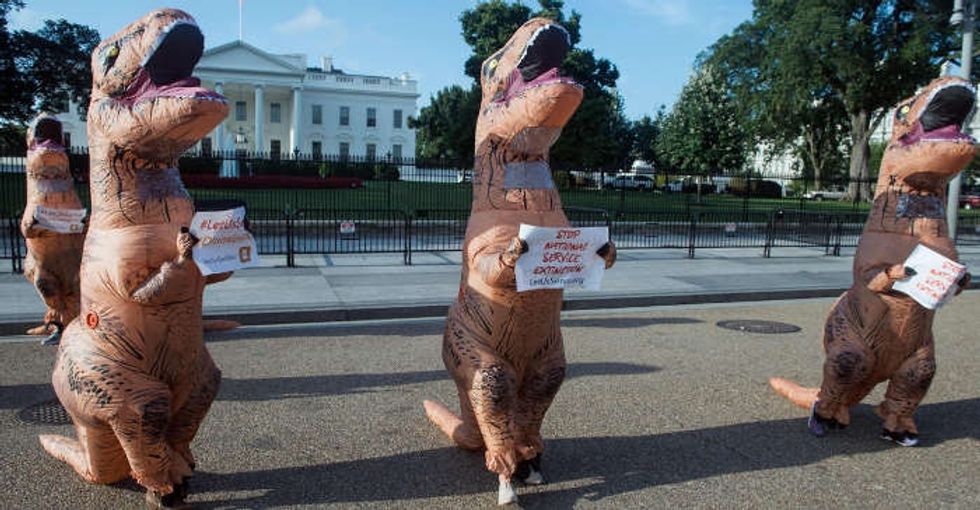 These dinosaurs may have pulled off the most hilarious protest of ...