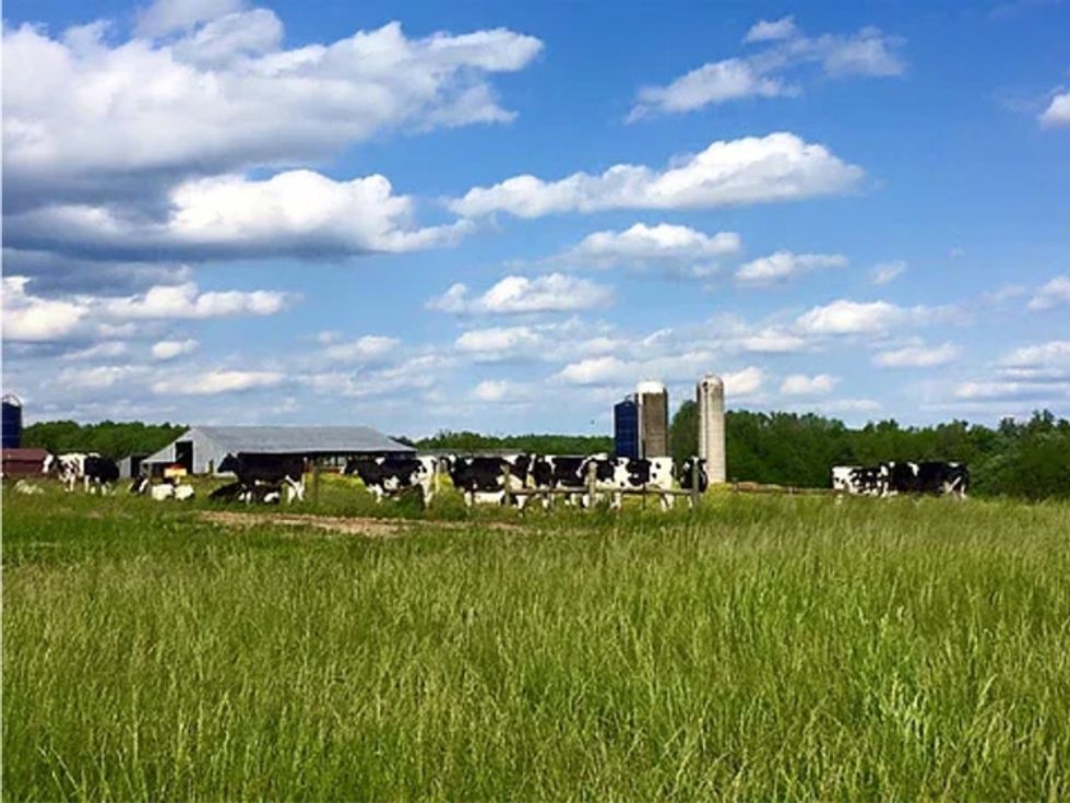 Matt Nuckols wants you to know a thing or two about dairy farm life ...