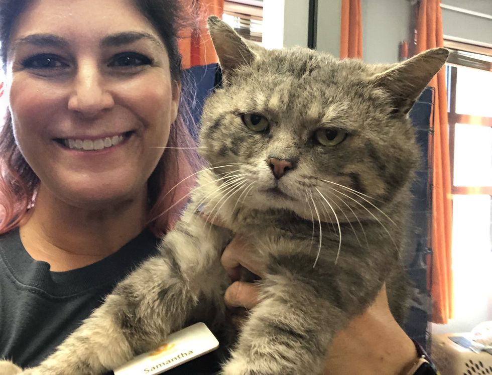 Scruffy Street Cat Can't Stop Hugging Everyone He Meets After He was ...