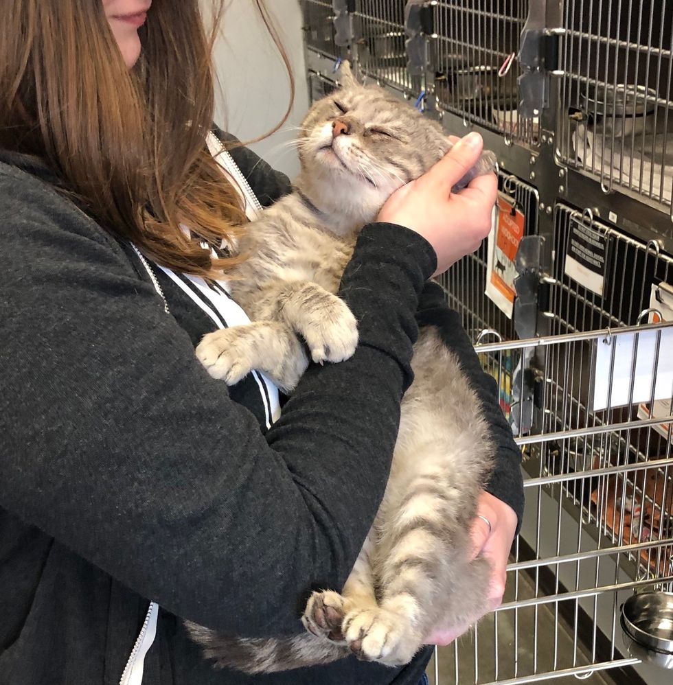 Scruffy Street Cat Can't Stop Hugging Everyone He Meets After He was ...