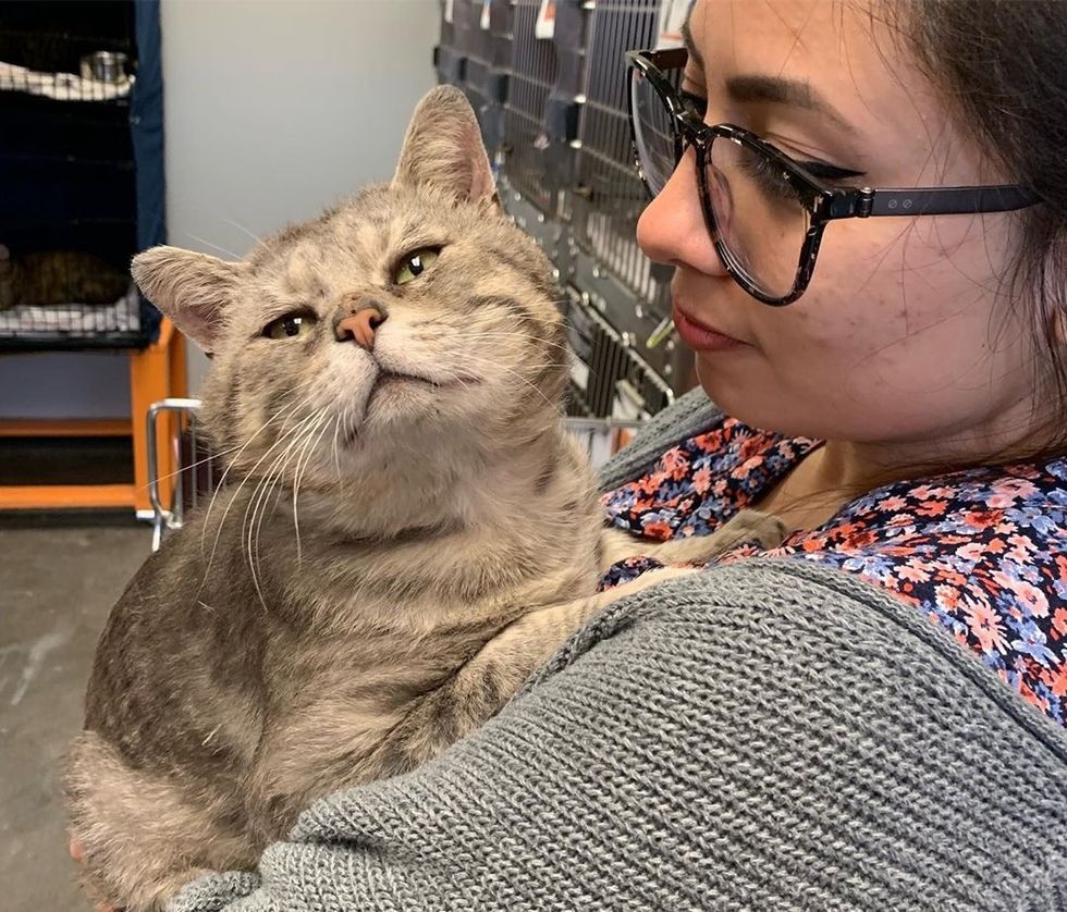 Scruffy Street Cat Can't Stop Hugging Everyone He Meets After He was ...