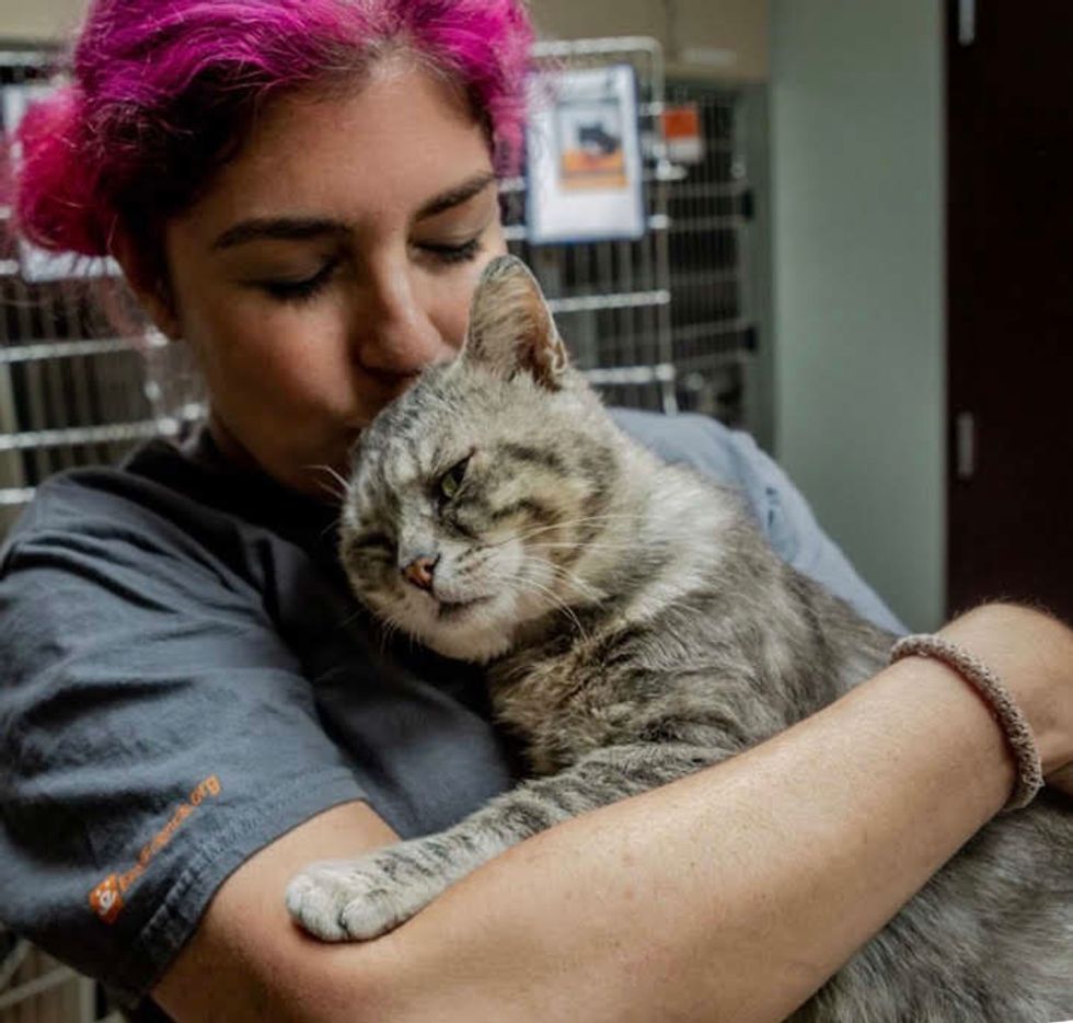 Scruffy Street Cat Can't Stop Hugging Everyone He Meets After He was ...