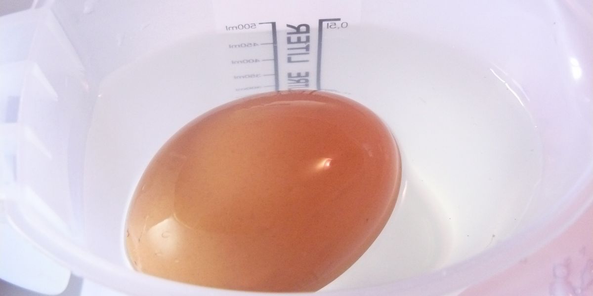 How to test Eggs for Freshness? - My Recipe Magic