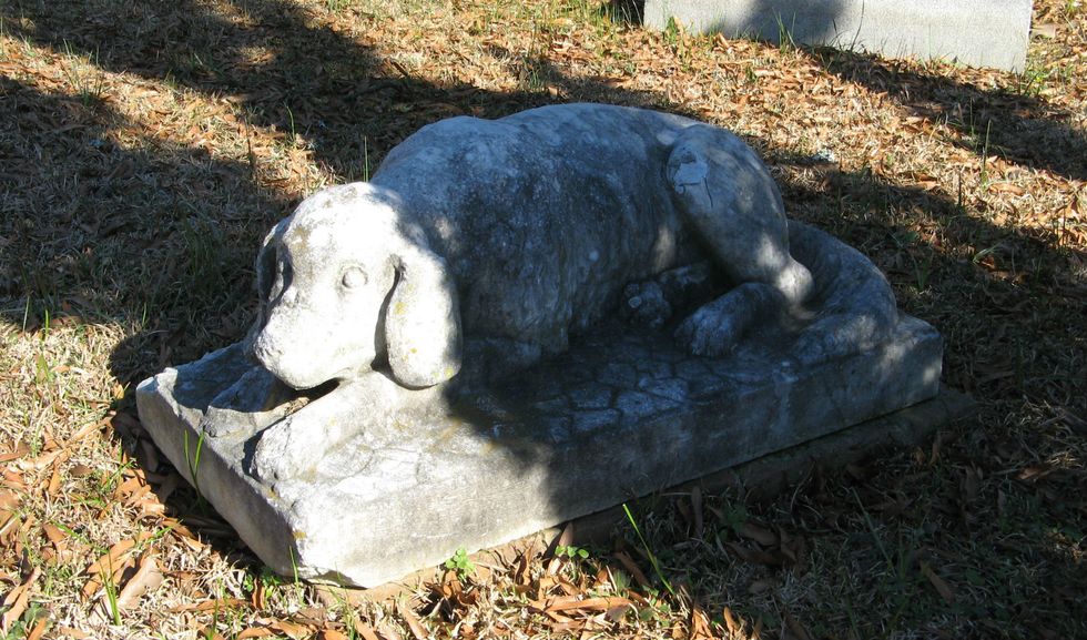 Little Debbie's new mini panda donuts are chocolatey, powdered sugar ...
