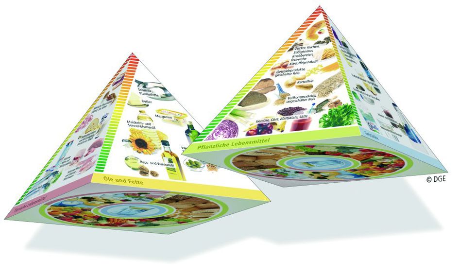 Pyramids, Plates, and Pagodas: Dietary Guidelines From Around the World ...