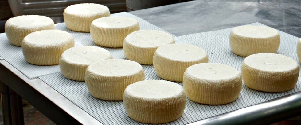 Making Impossible Cheese In Belize - GOOD