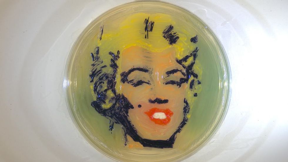 Artists Use Bacteria To ‘Grow’ Masterpieces - GOOD